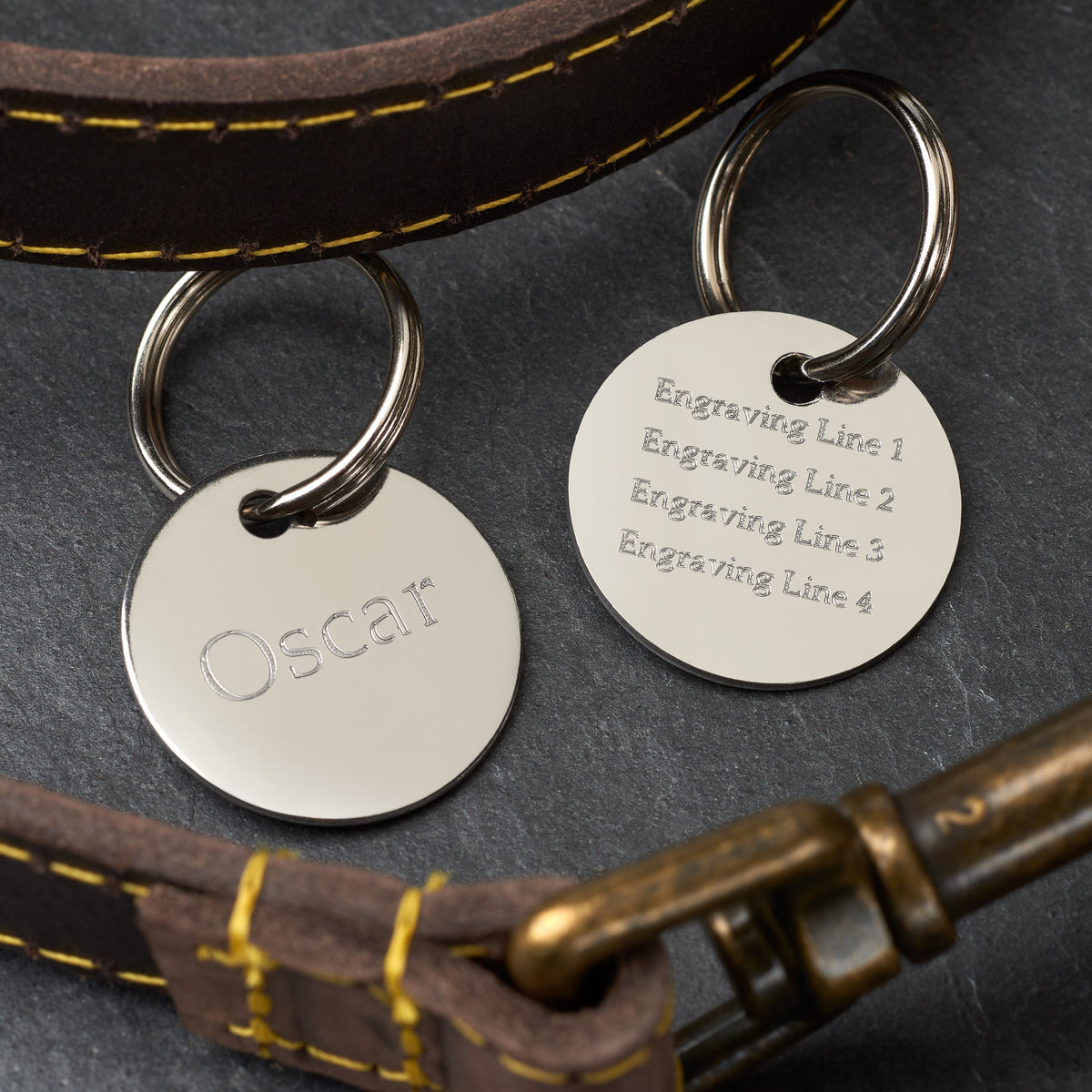 Stainless Steel Circle Tag – The Pet Tag Store