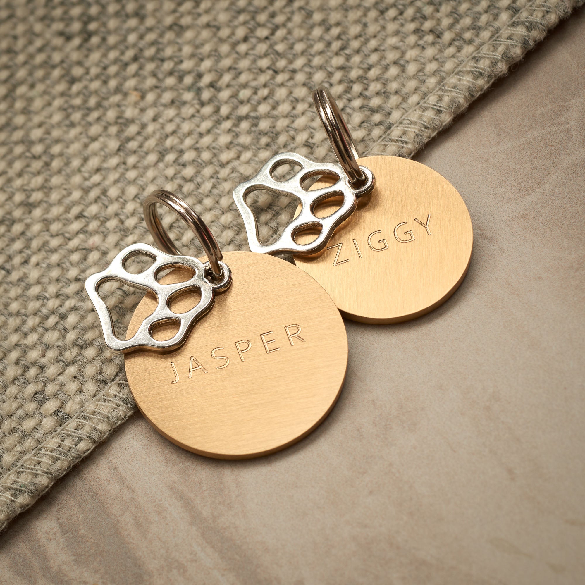 Brushed Brass Circle Silver Paw Print Tag – The Pet Tag Store